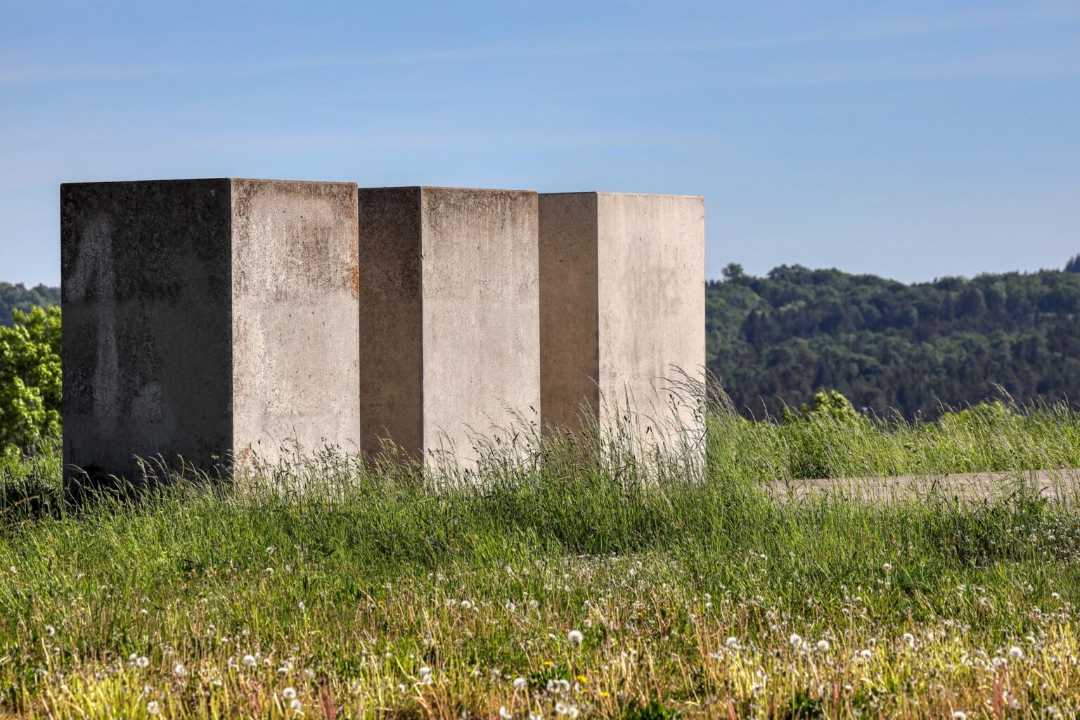 Kunst wächst mit der Zeit | Reise-Stories.de