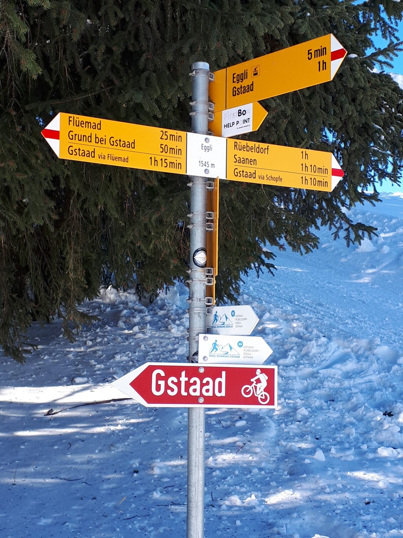 Hoch hinaus aufs Eggli, den Hausberg von Gstaad