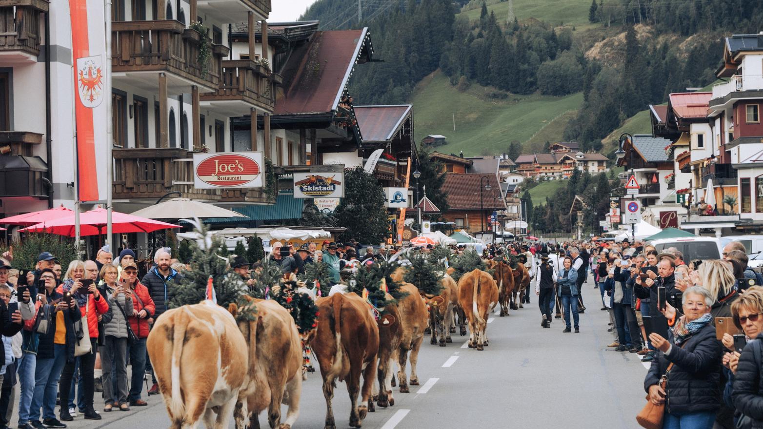 Almabtrieb 2025: Die 10 schönsten Feste im Allgäu, in Bayern, Tirol und ...