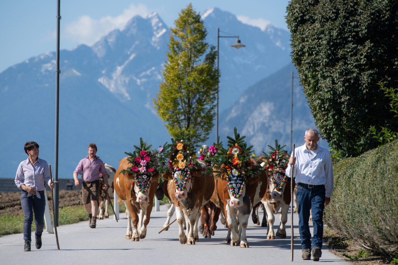 Almabtrieb 2025: Die 10 schönsten Feste im Allgäu, in Bayern, Tirol und ...