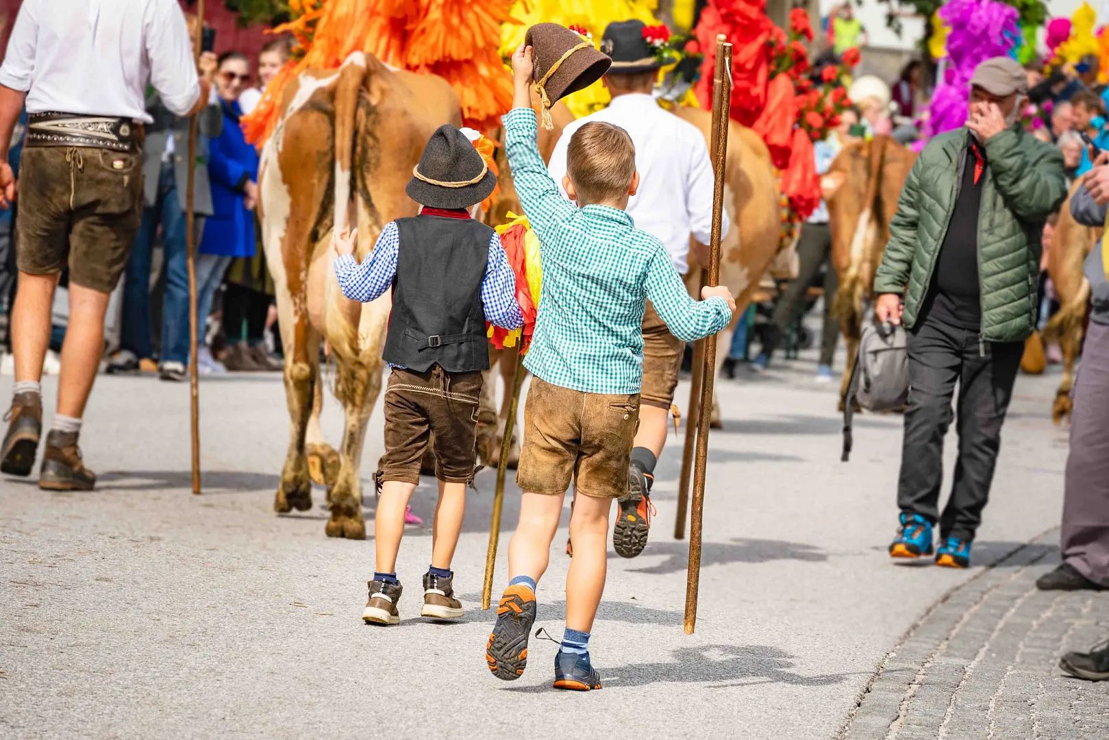 Almabtrieb 2025: Die 10 schönsten Feste im Allgäu, in Bayern, Tirol und ...