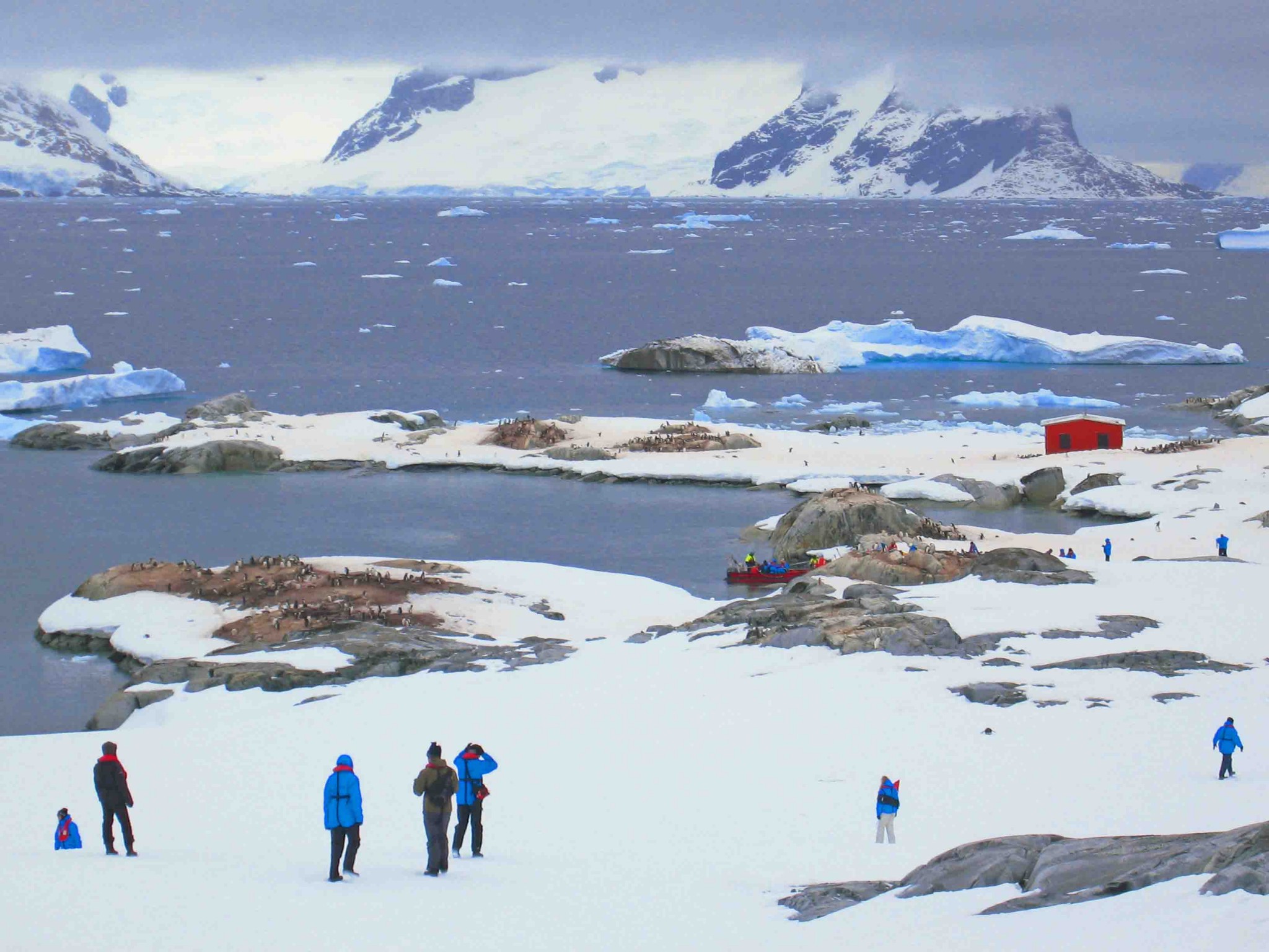 Mit dem Polar-Circle-Boot zu den Pinguinen