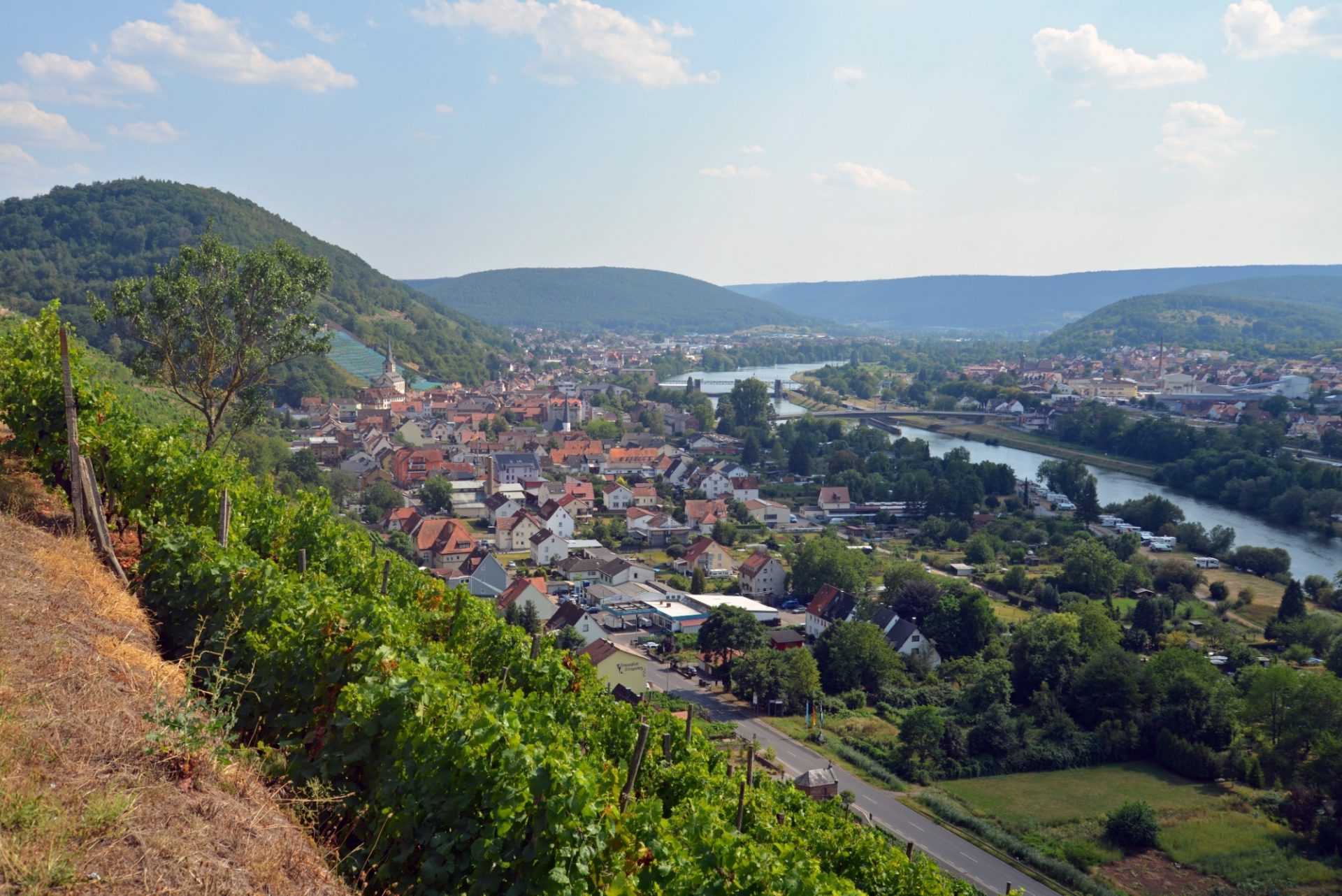 Rotweinwanderweg-Klingenberg-18 - Reise Stories