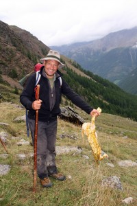 Similaungletscher Öztal Schnaltal Tirol Südtirol Schafe