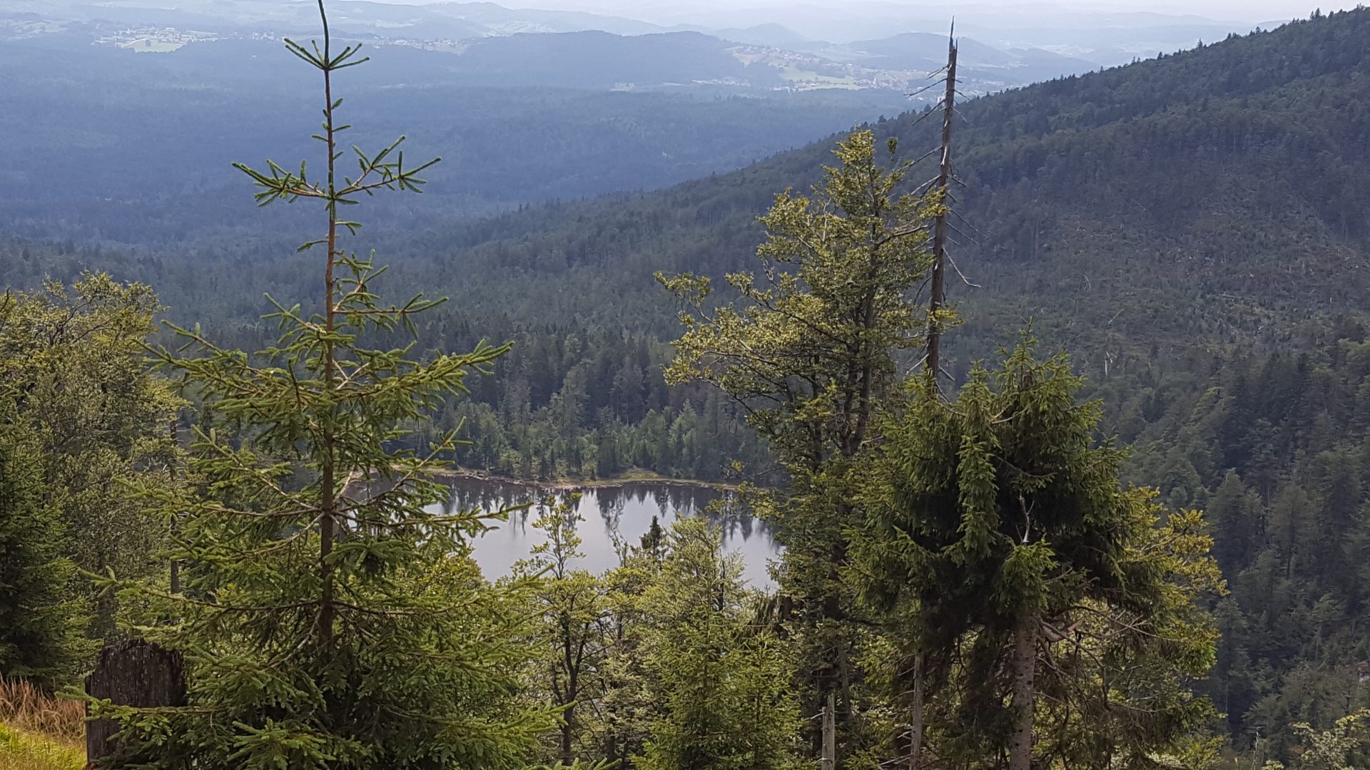 Ein einzigartiges Schauspiel in diesen harten Klimazeiten | Reise ...